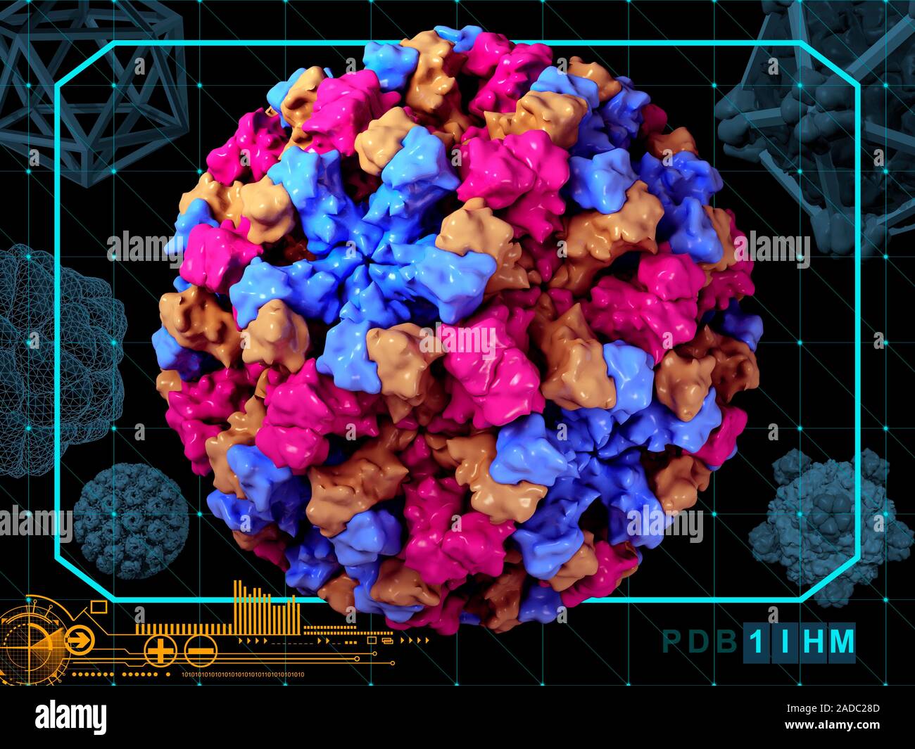 Norwalk virus capsid, molecular model. This norovirus, which causes a ... Norwalk virus capsid, molecular model. This norovirus, which causes a ...