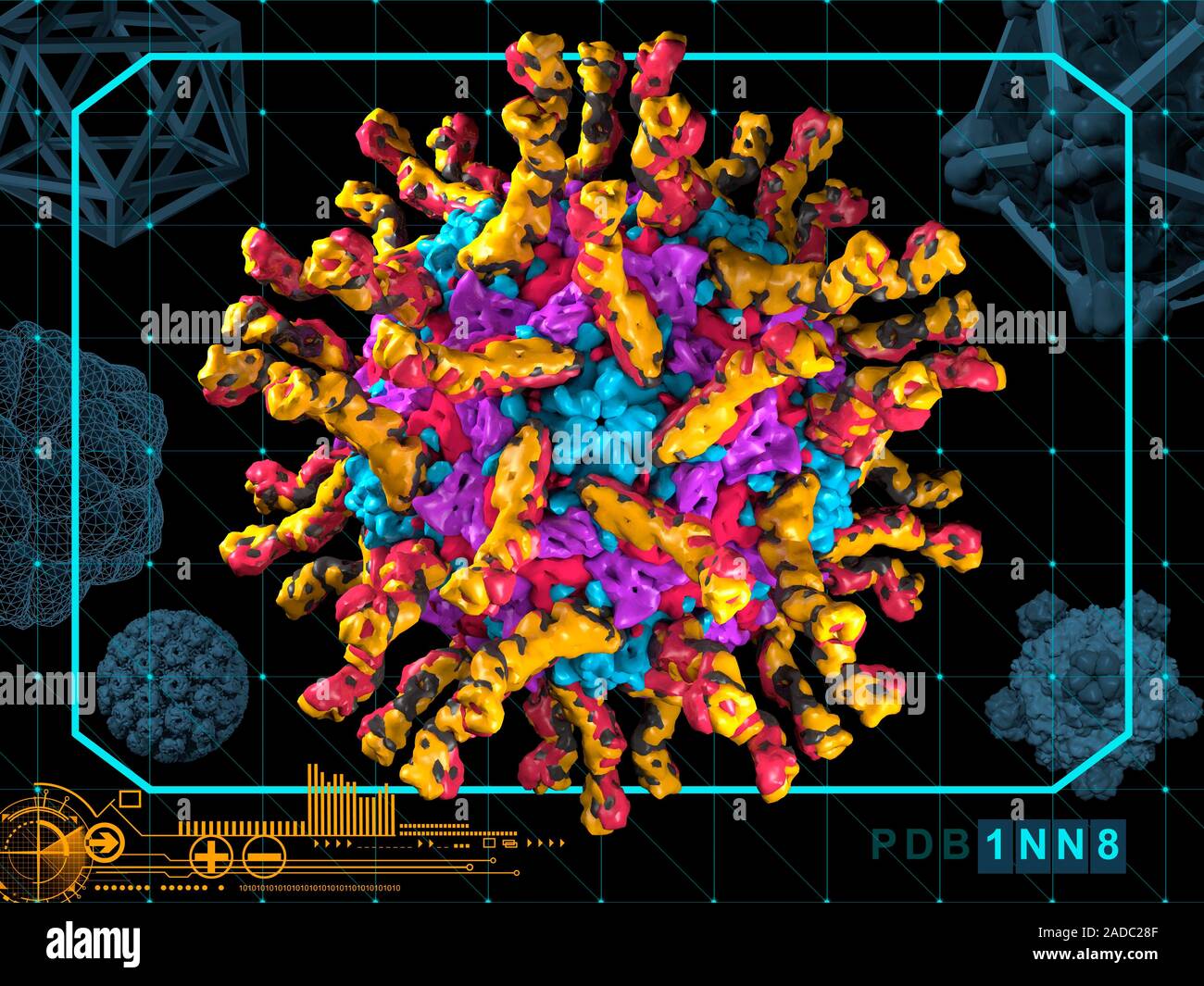Human poliovirus capsid with receptor, molecular model. The capsid is a ...