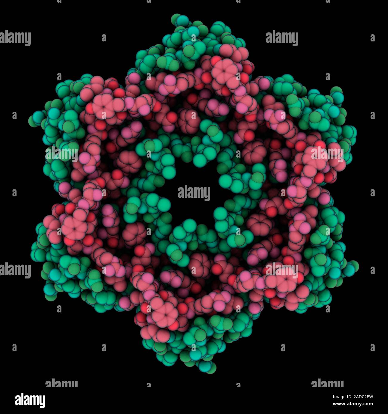 Chymotrypsin Inhibitor 2 Fragments Molecule Computer Model Showing The Hexameric Structure Of
