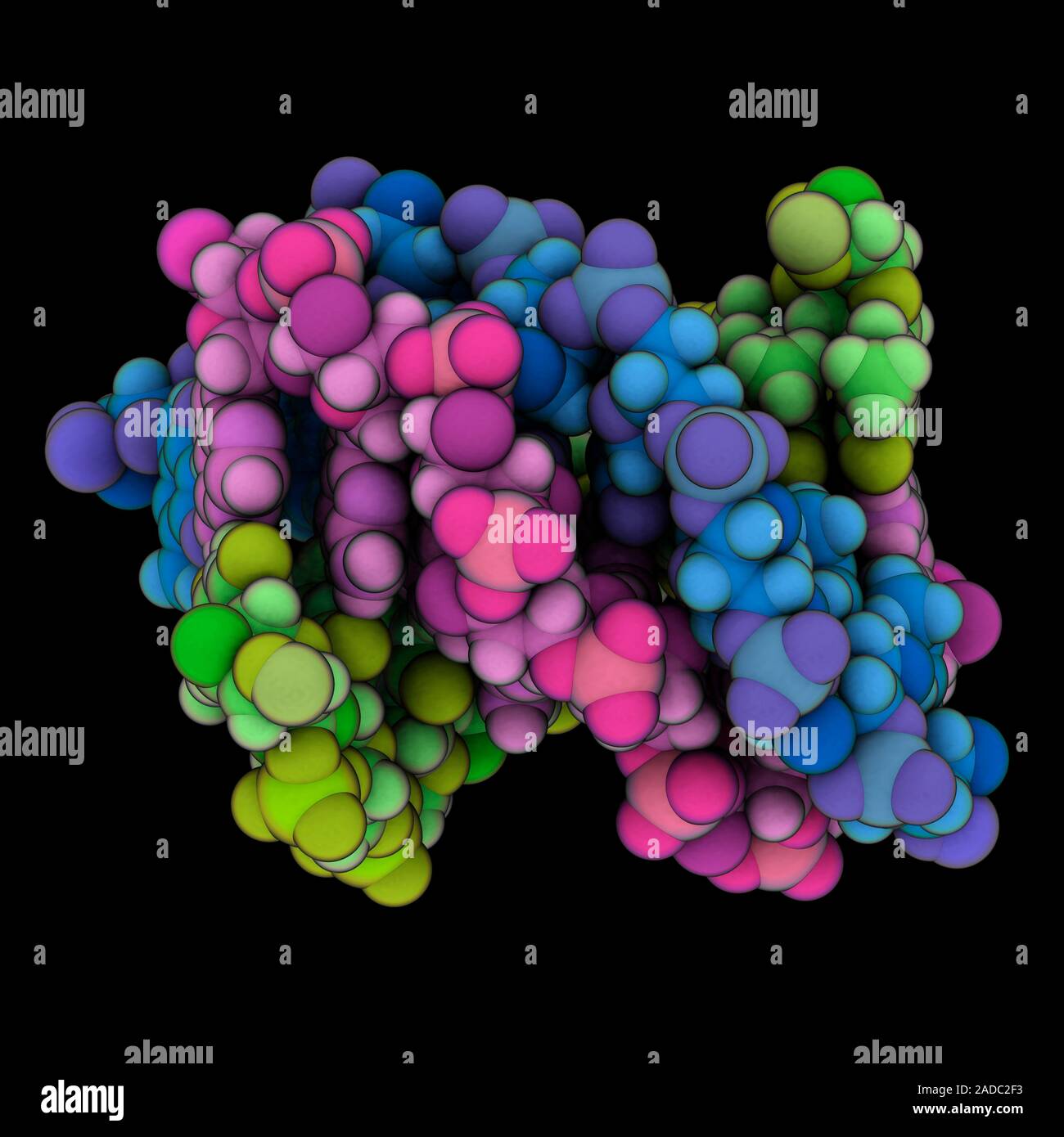 DNA (deoxyribonucleic acid) triplex molecule. Computer model showing ...