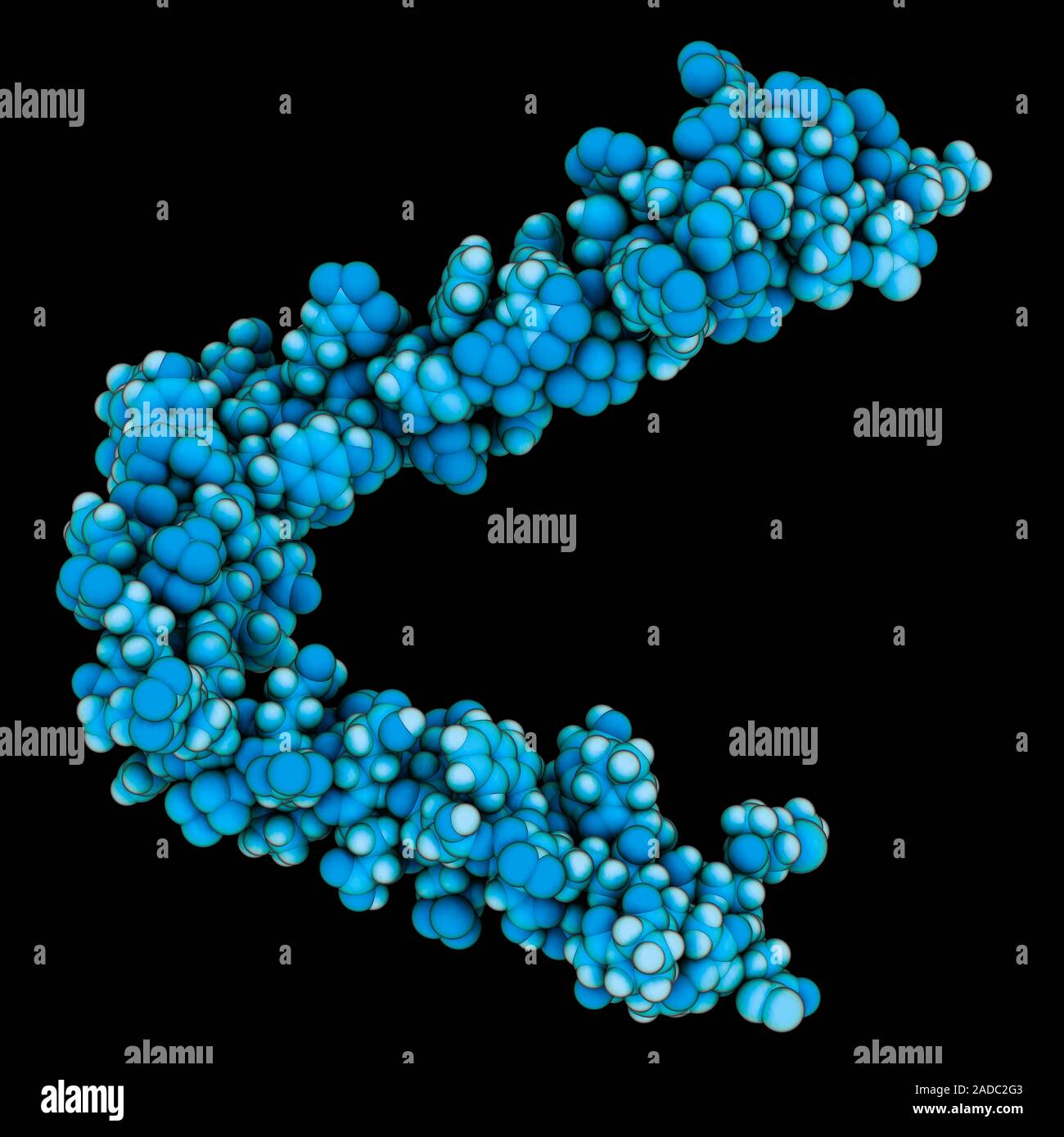 HIV-1 (human immunodeficiency virus-1) regulatory protein Vpr. Computer ...