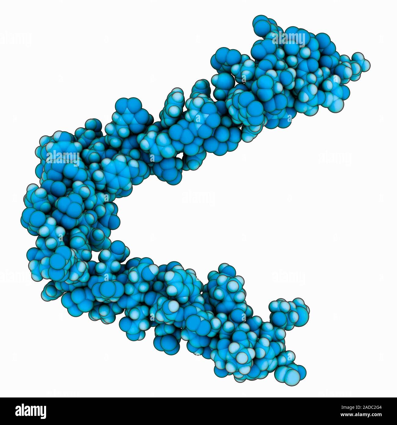 HIV-1 (human immunodeficiency virus-1) regulatory protein Vpr. Computer ...