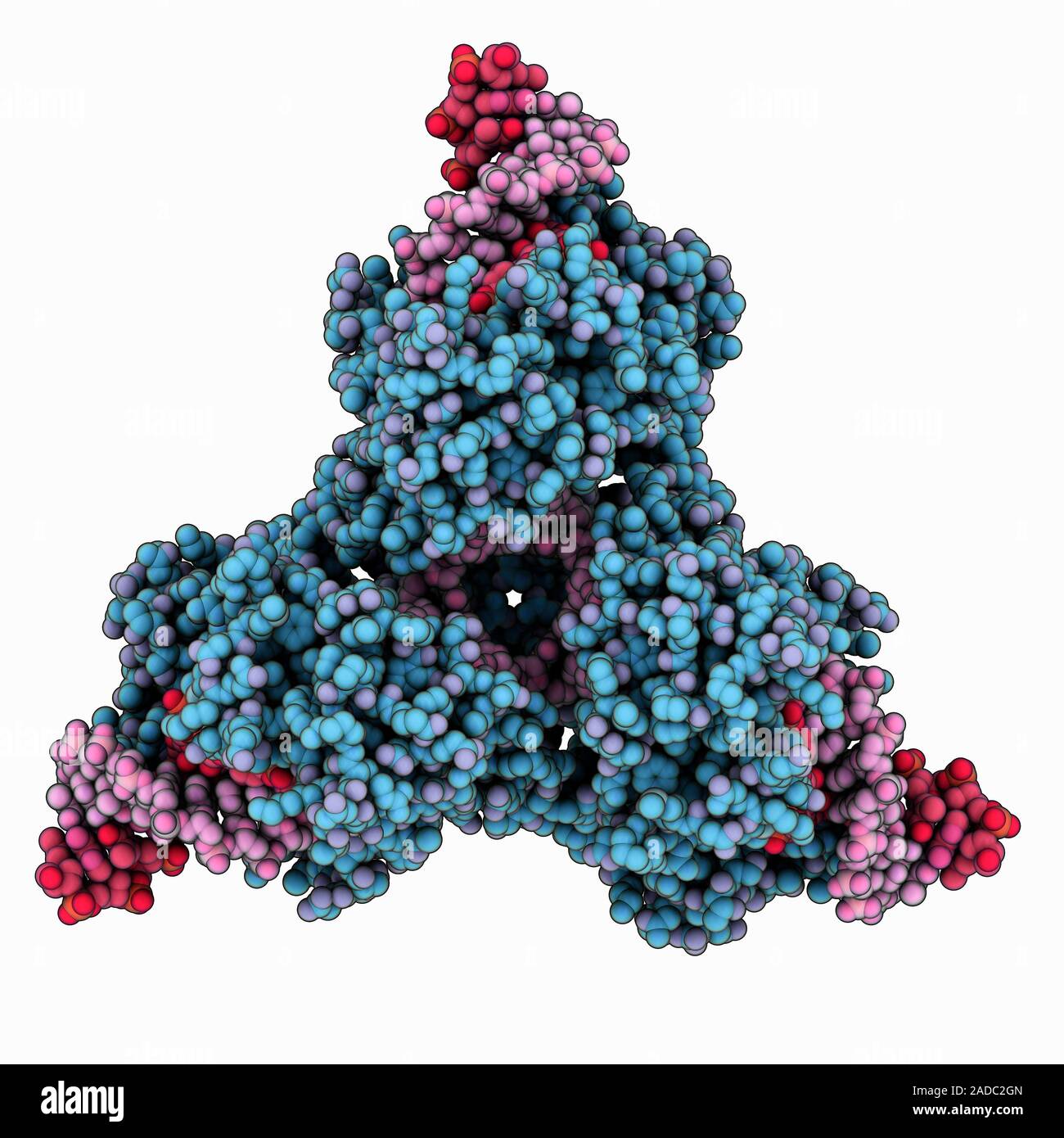 Cre recombinase DNA (deoxyribonucleic acid) complexed with DNA junction ...
