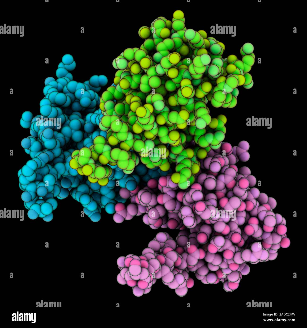 Trimeric Hiv 1 Human Immunodeficiency Virus 1 Matrix Protein Computer Model Showing The