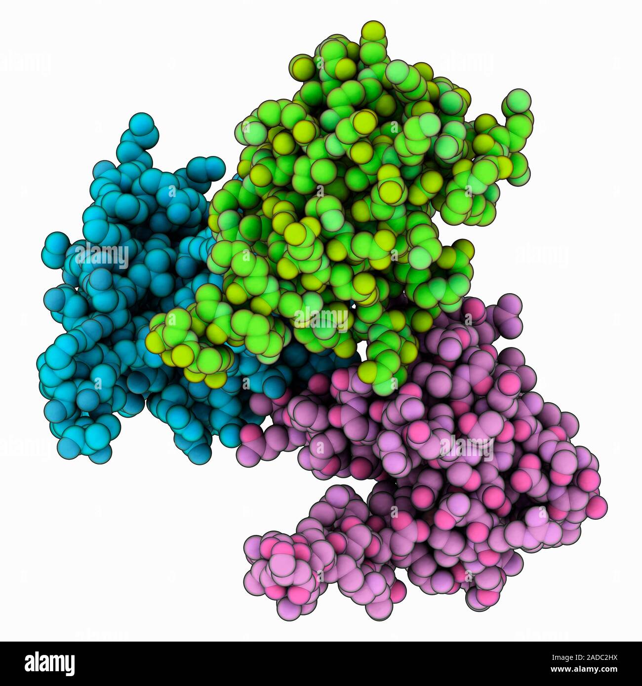 Trimeric HIV-1 (human immunodeficiency virus-1) matrix protein ...