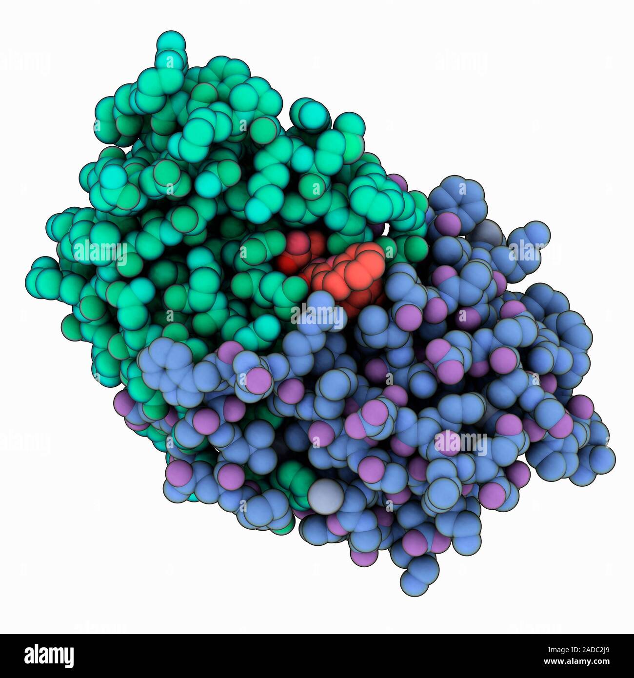 HIV-1 (human immunodeficiency virus-1) proteinase complexed with ...