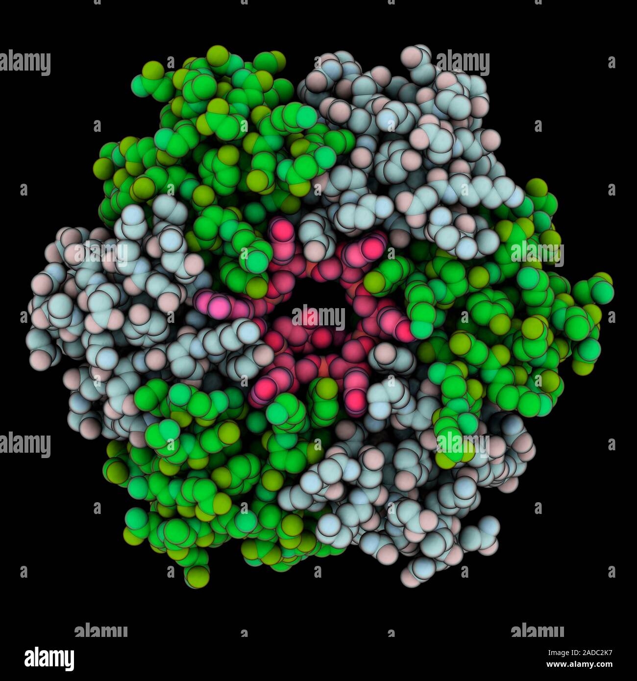 Host Factor For Q Hfq Complexed With Rna Ribonucleic Acid Computer