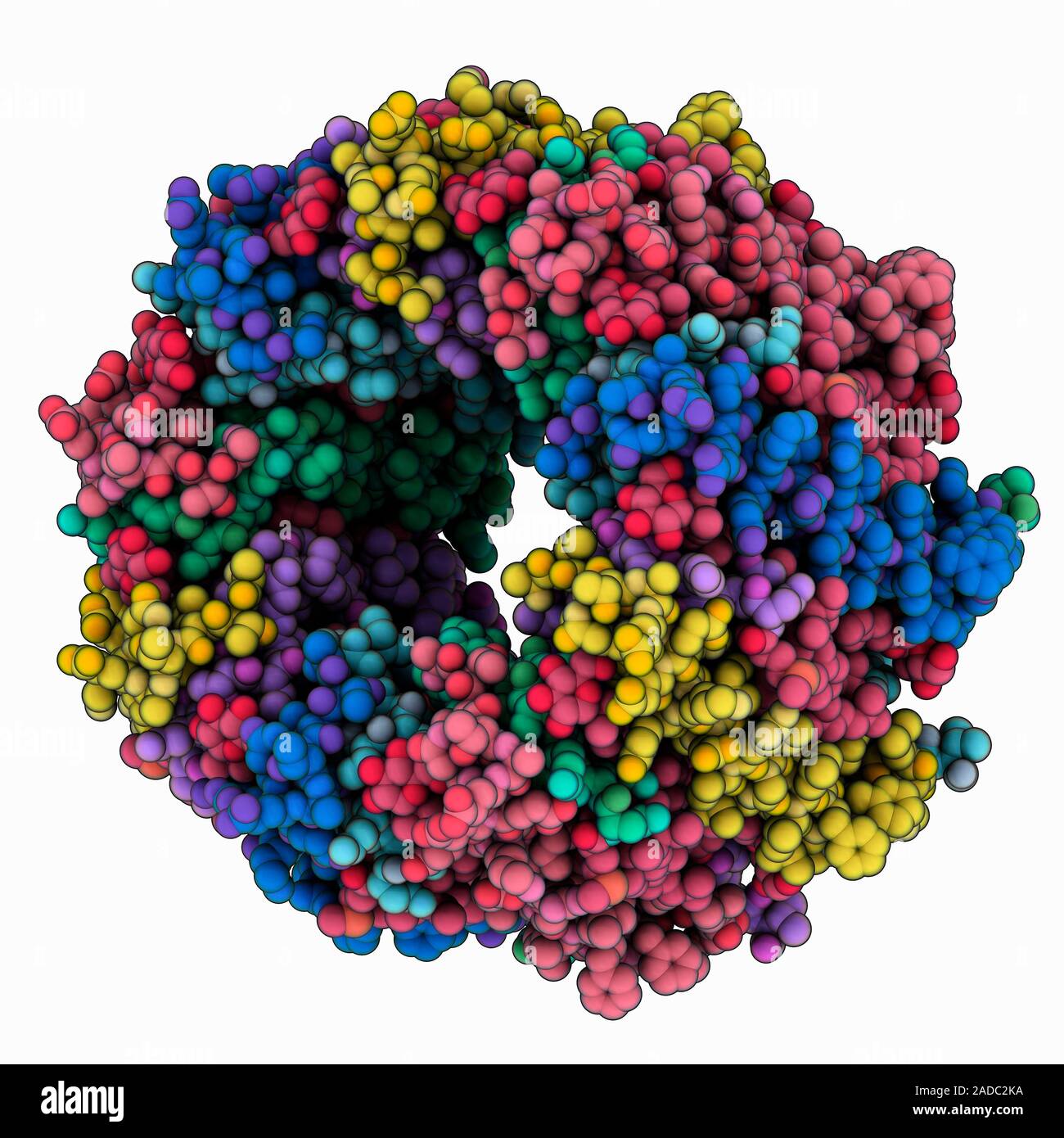 Bacterial light harvesting protein. Computer model showing the ...