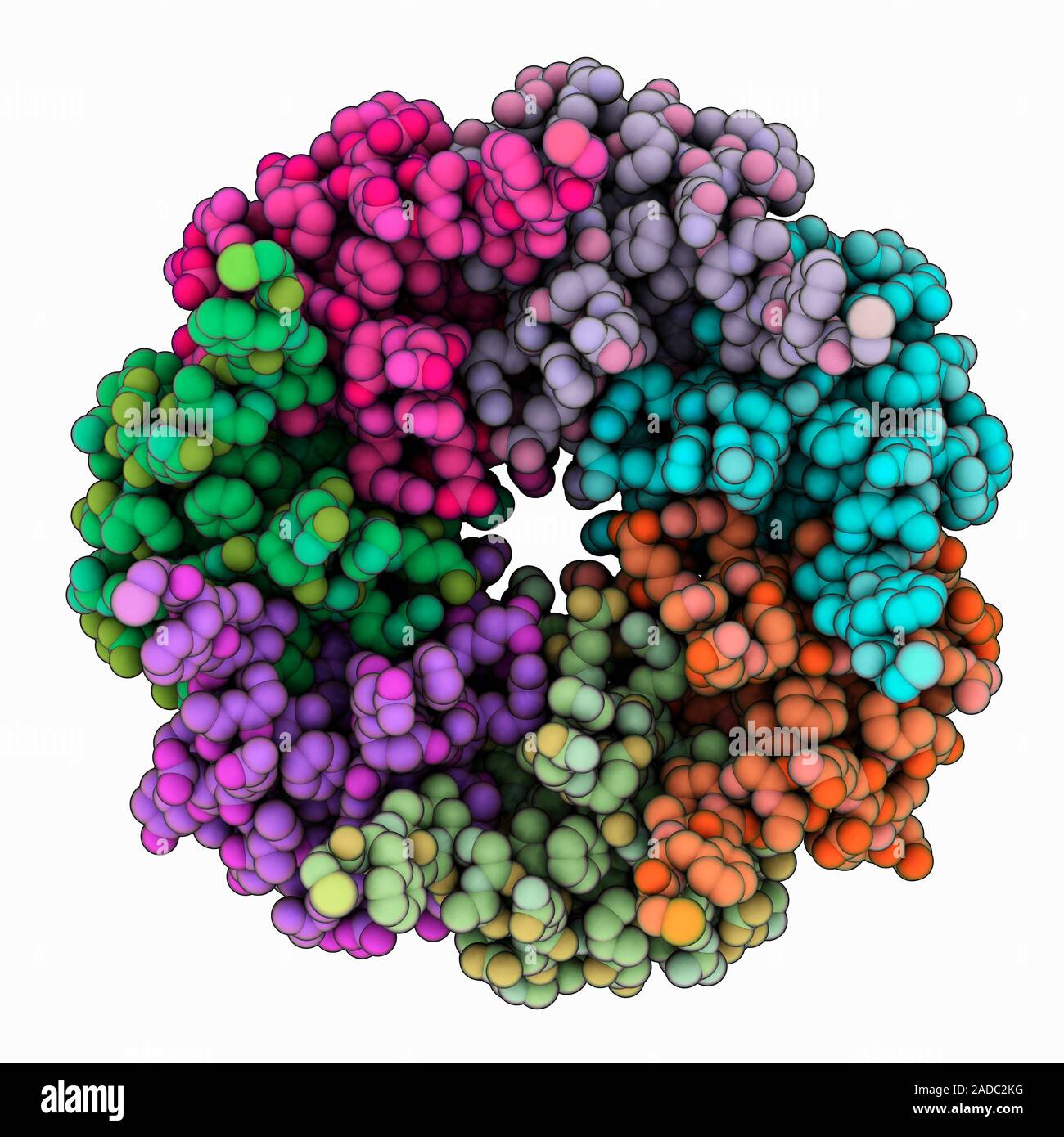 Sm-like archaeal protein. Computer model showing the heptameric ...