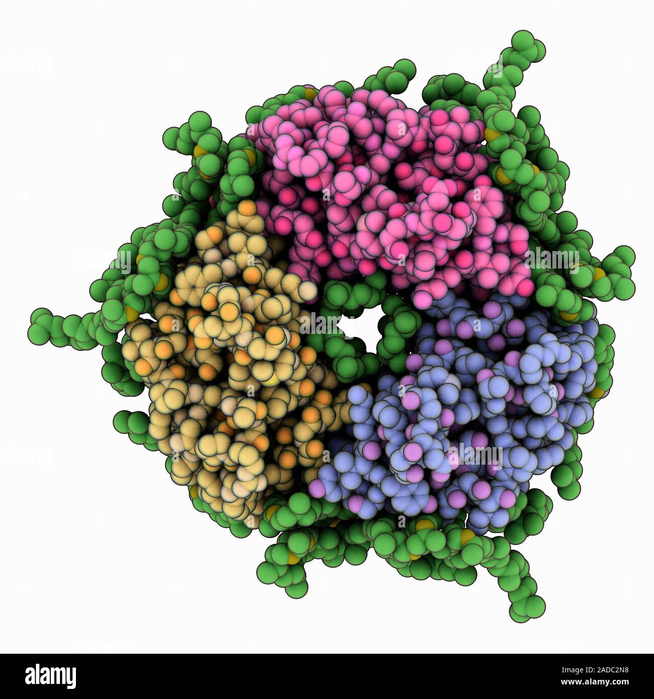 Bacteriorhodopsin Molecule Computer Model Showing The Structure Of The Proton Pump