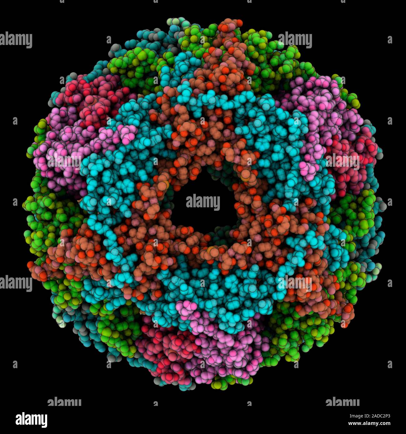 Small heat shock protein (sHSP). Computer model showing the structure ...