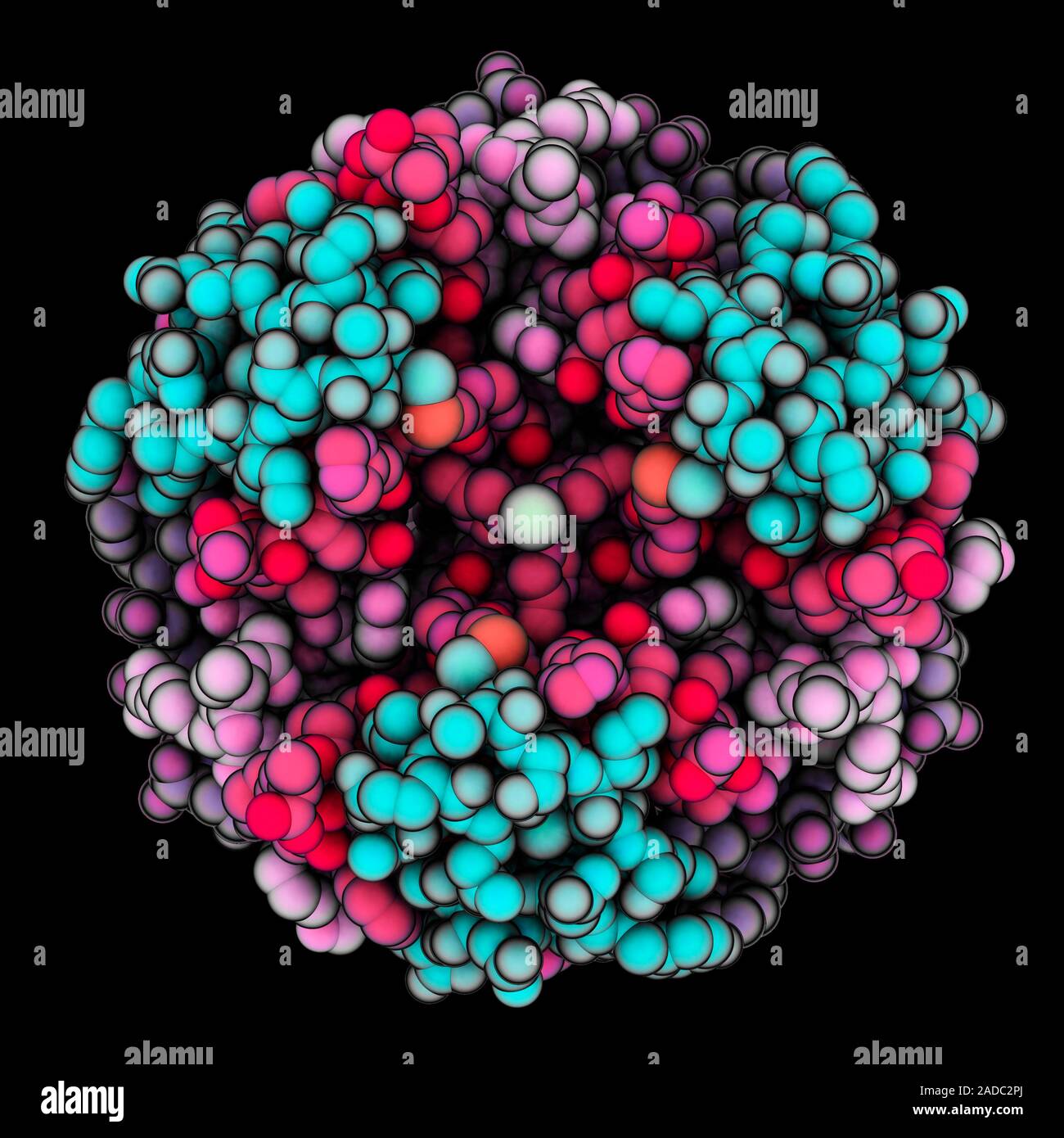 Human insulin molecule. Computer model showing the structure of the ...