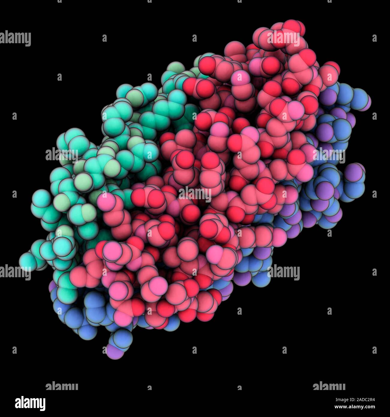 Hendra virus fusion core. Computer model showing the trimeric structure ...