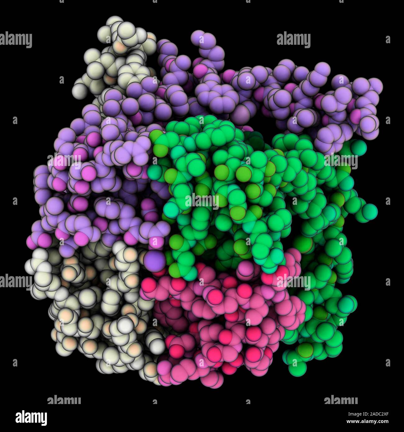 Potassium channel molecule. Computer model showing the structure of a ...