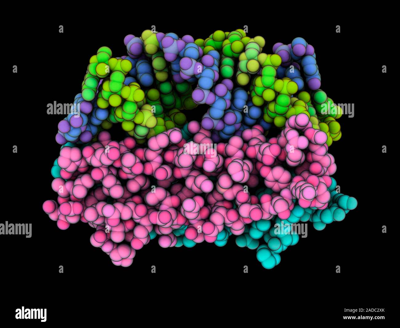 Flock House virus silencing suppressor protein B2 complexed with RNA ...