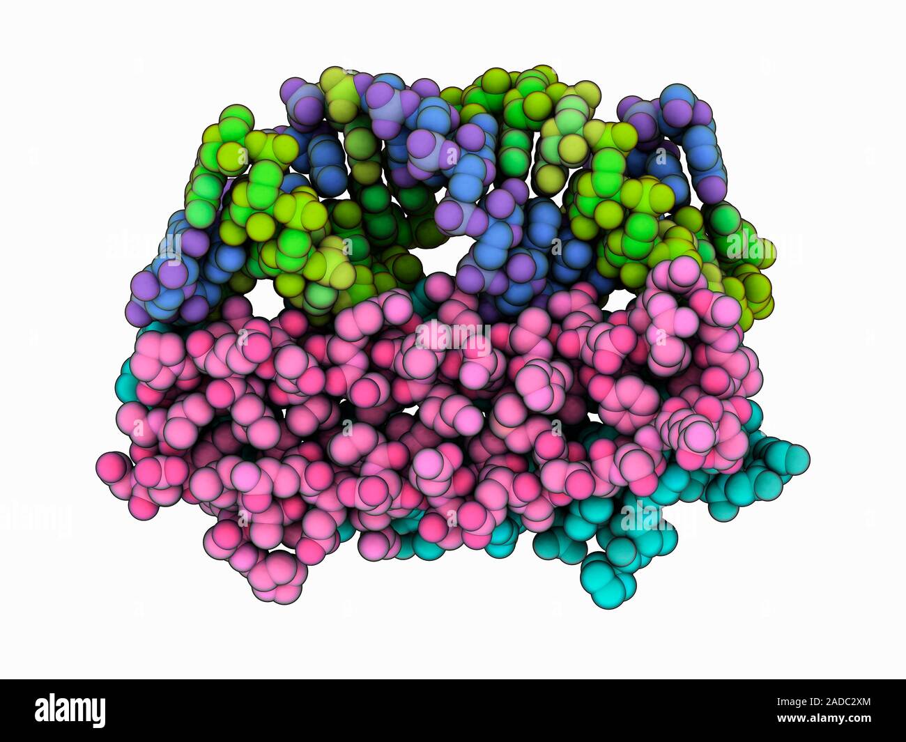 Flock House virus silencing suppressor protein B2 complexed with RNA ...
