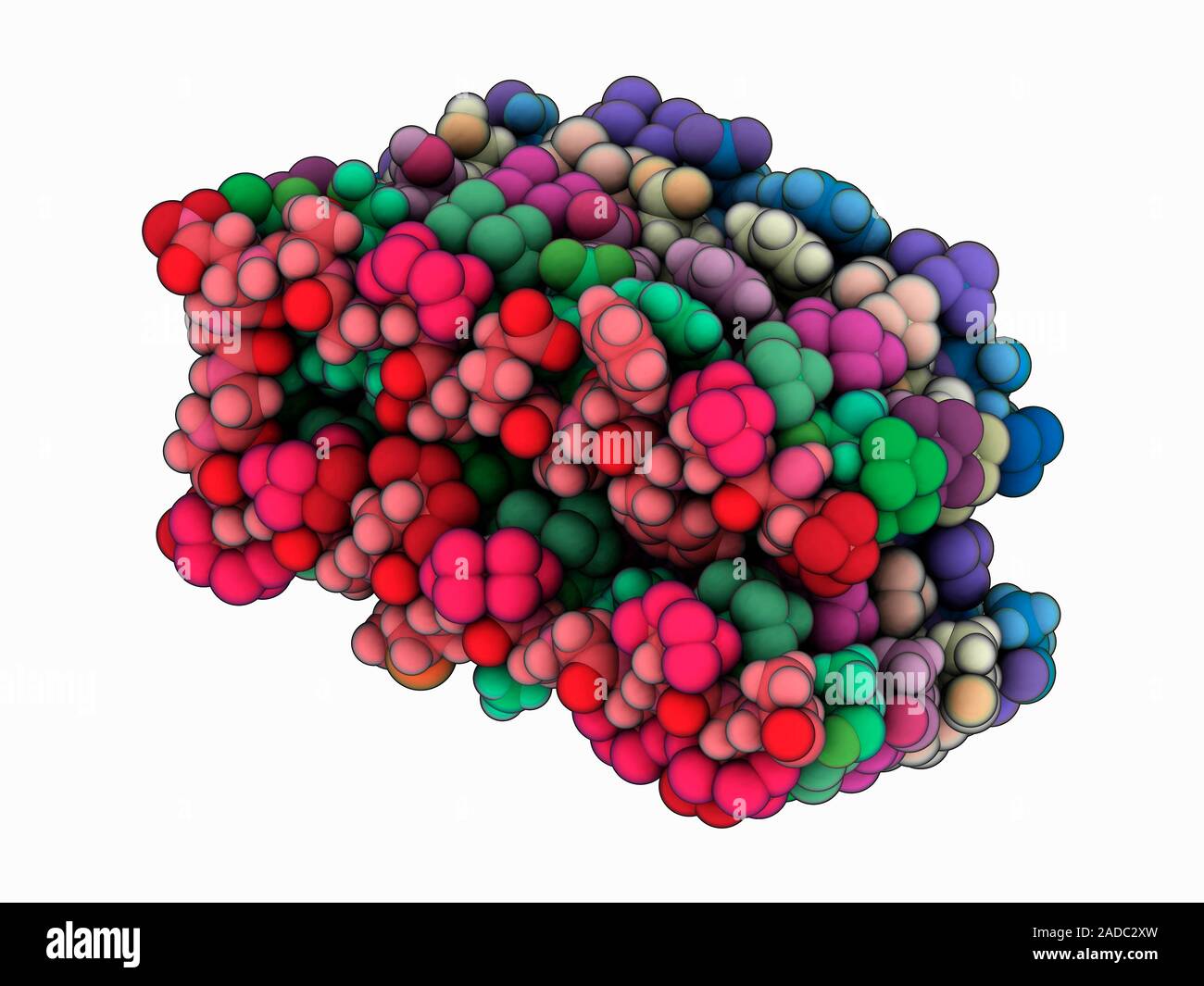Alzheimer's amyloid-beta fibrils. Computer model showing the structure ...