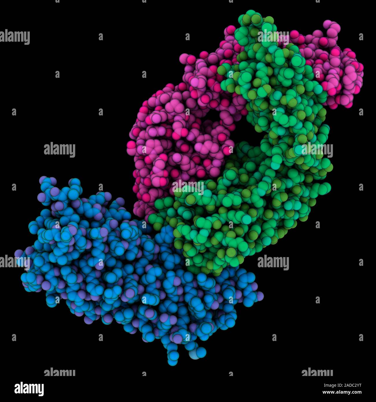 HIV-1 (human immunodeficiency virus-1) antibody D5 complexed with GP41 ...