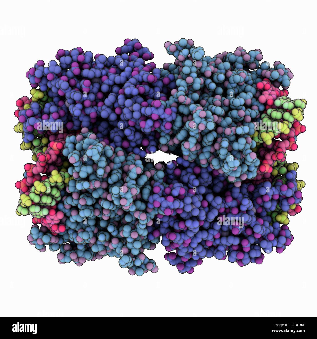 Restriction endonuclease Sfil complexed with cognate DNA ...