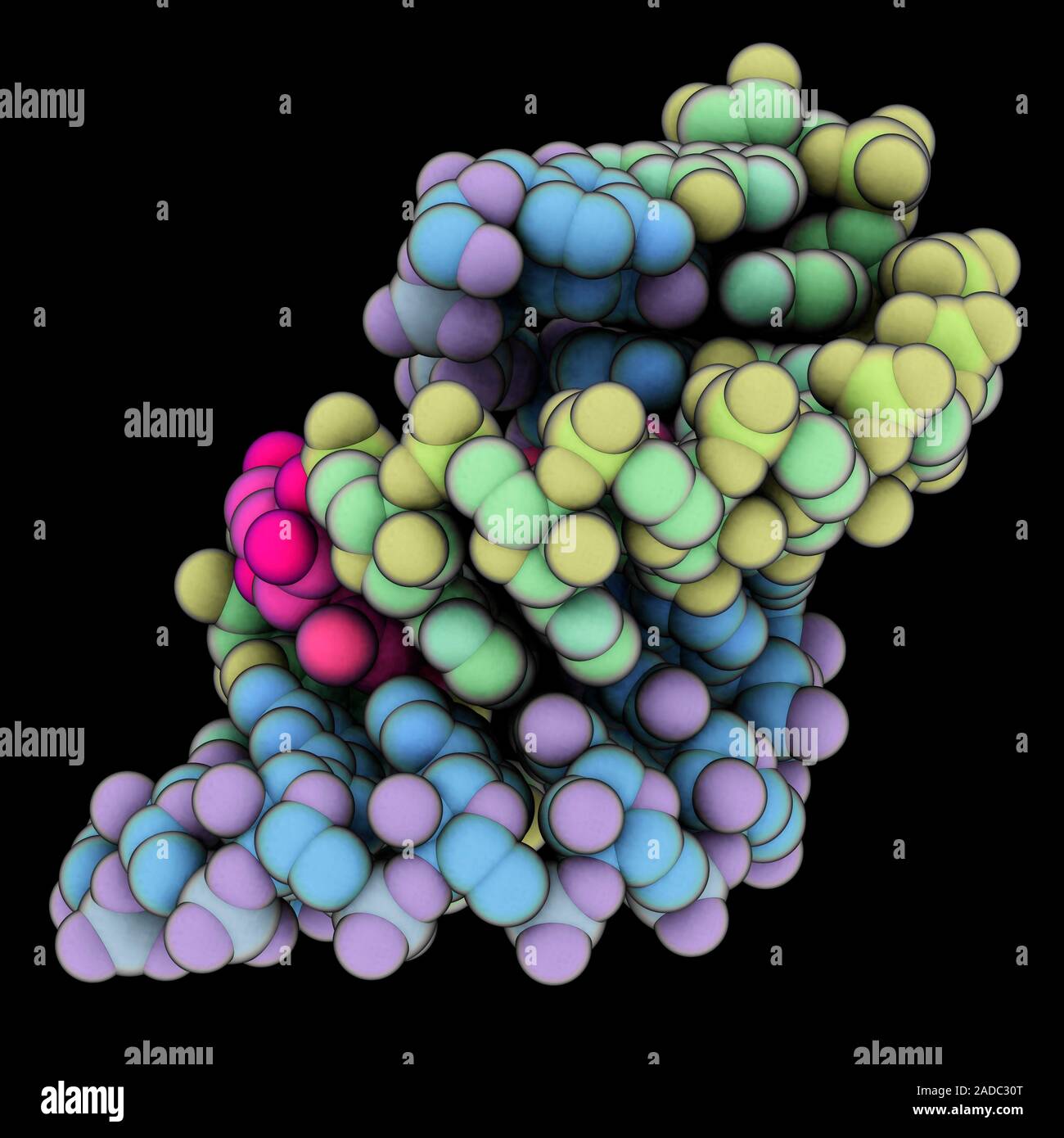 Short interfering RNA (siRNA) with a ribo-difluorotoluyl nucleotide ...