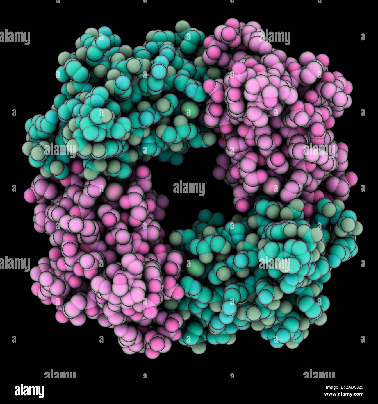 Sensory Rhodopsin Transducer Computer Model Showing The Planar Tetrameric Structure Of Asrt