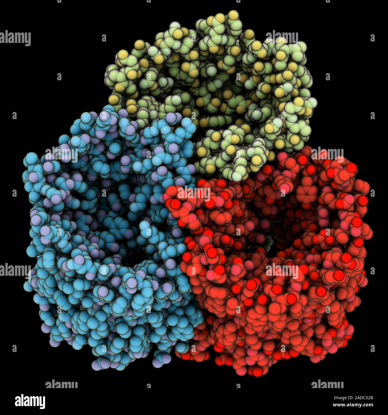 Osmoporin Ompc Outer Membrane Protein C Molecule Computer Model Showing The Tight Trimeric