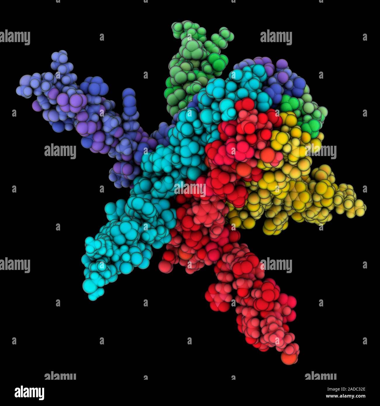 Phospholamban molecule. Computer model showing the pentameric structure ...