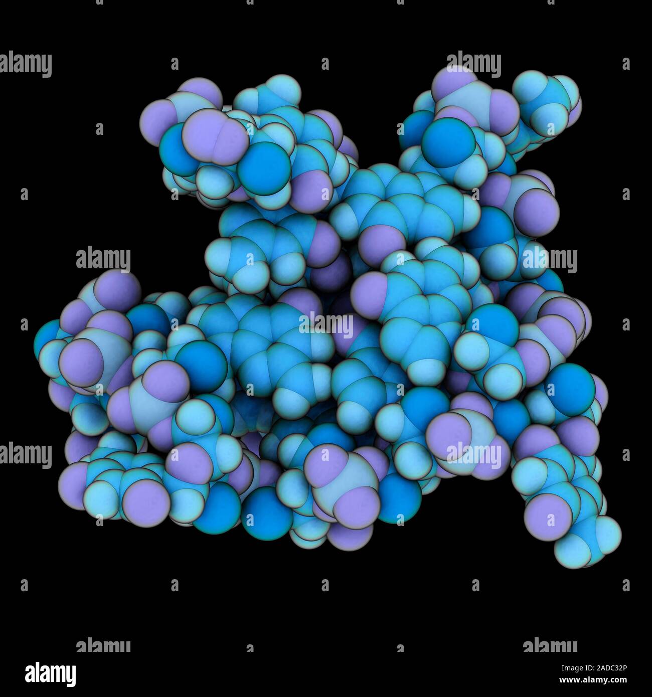Spider-venom peptide Hm1A. Computer model showing the structure of the ...