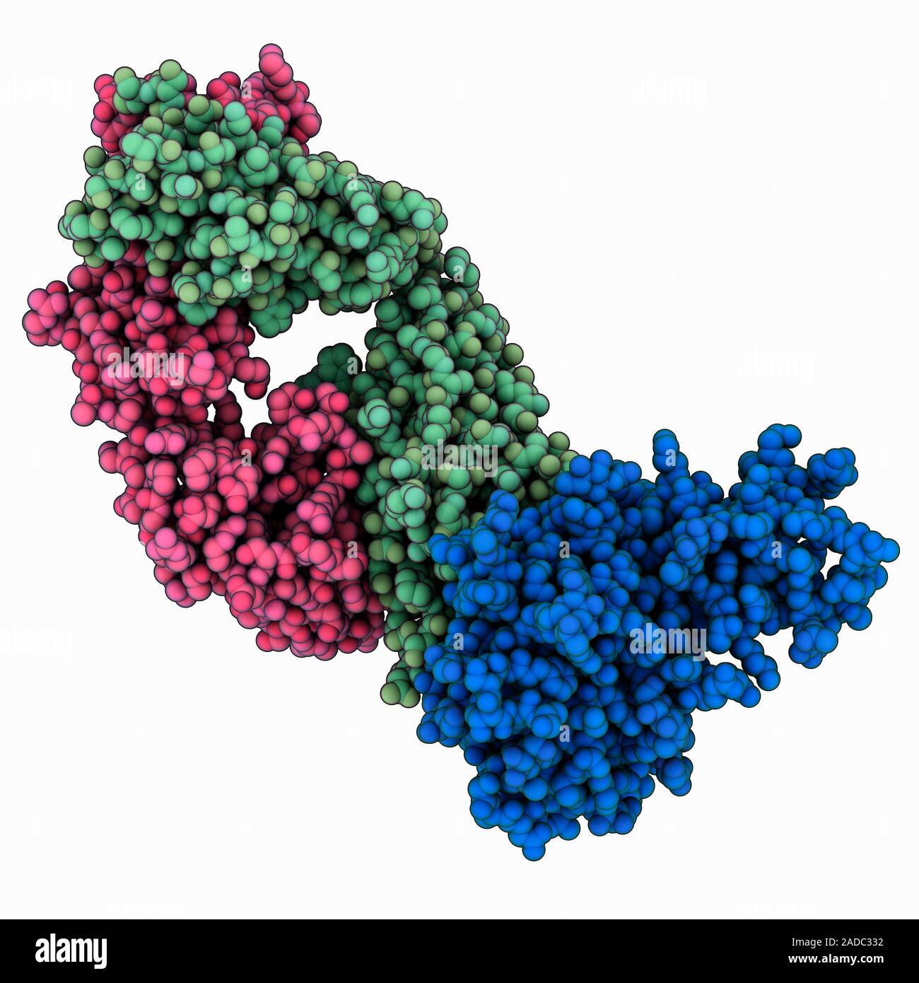 HIV-1 (human immunodeficiency virus-1) glycoprotein GP120 complexed ...