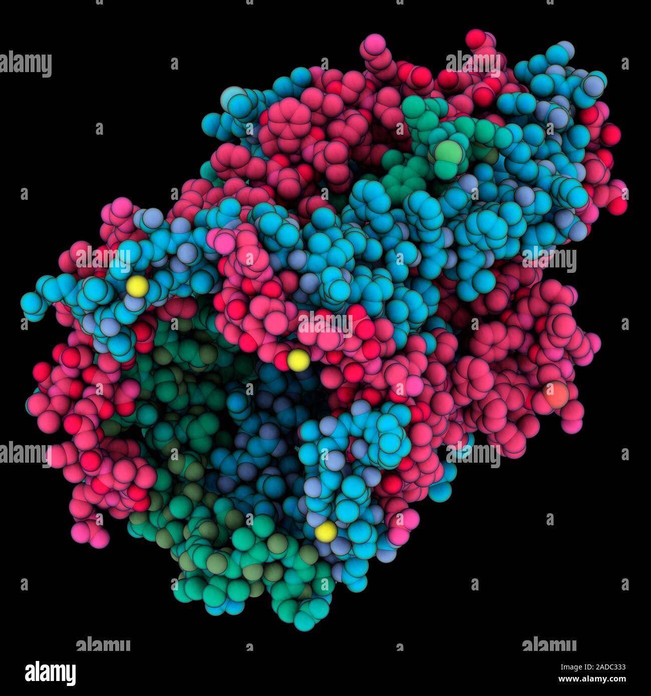Large-conductance mechanosensitive channel. Computer model showing the ...