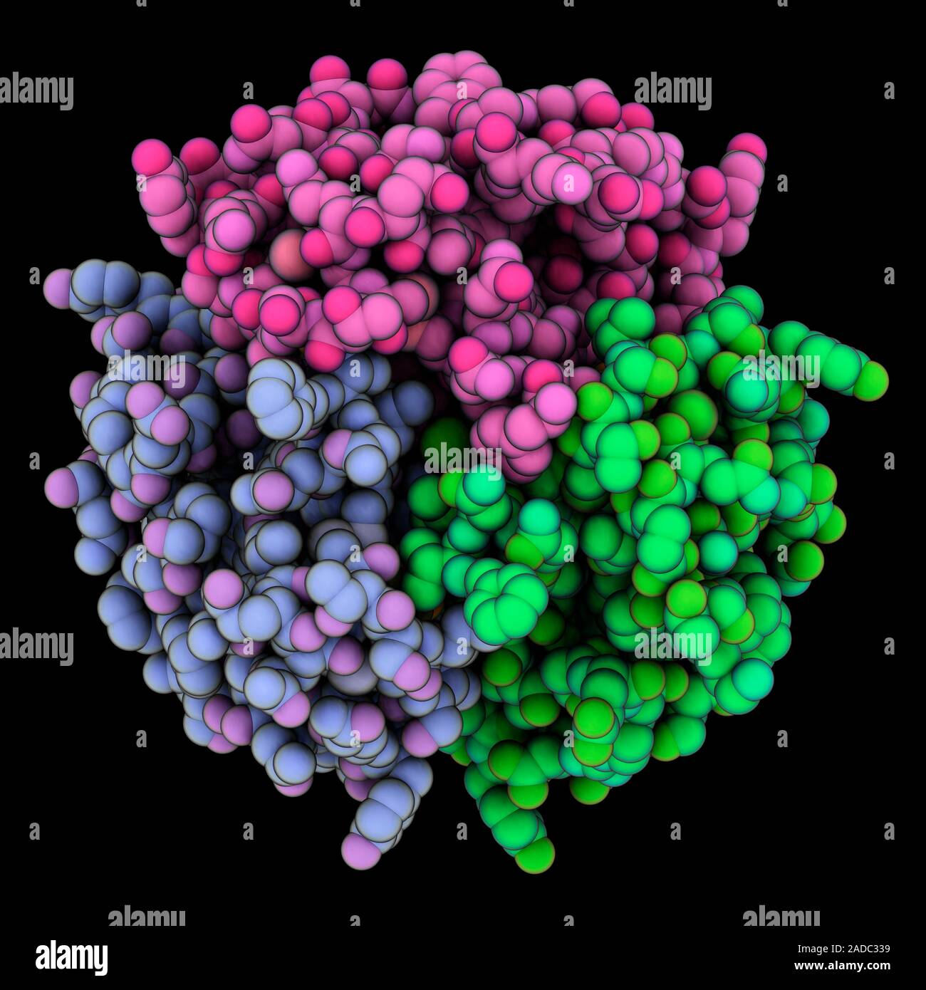 Human insulin NPH molecule. Computer model showing human insulin NPH ...