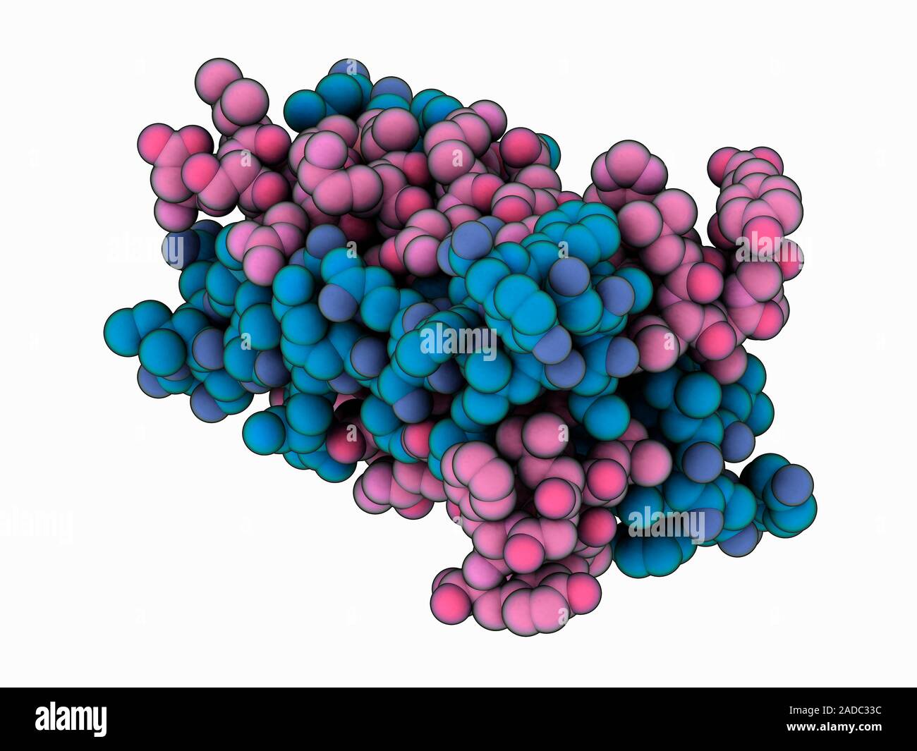 Human voltage-gated potassium channel. Computer model showing the ...