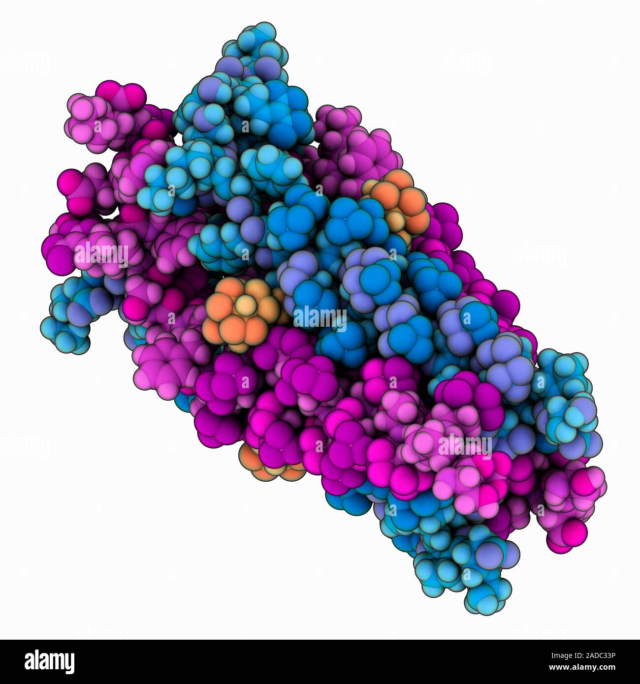 Influenza A proton channel M2 complexed with inhibitor rimantadine ...