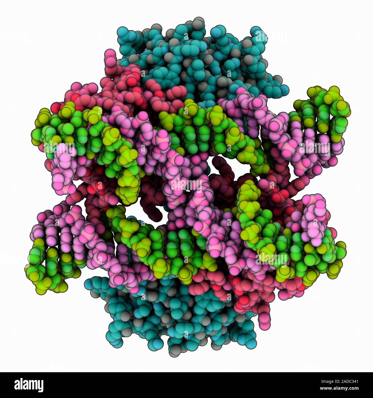Holliday junction resolvase complexed with DNA (deoxyribonucleic acid ...