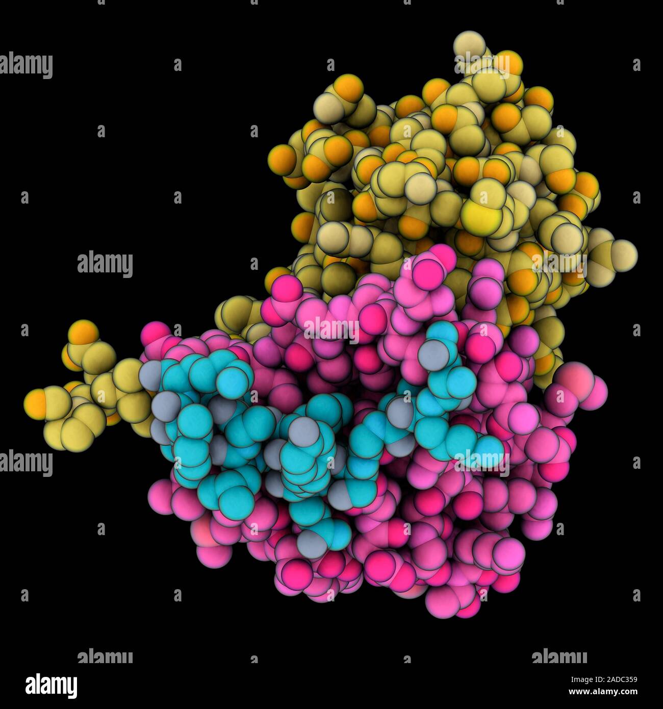 HIV (human immunodeficiency virus) Vif BC-box complexed with human ...