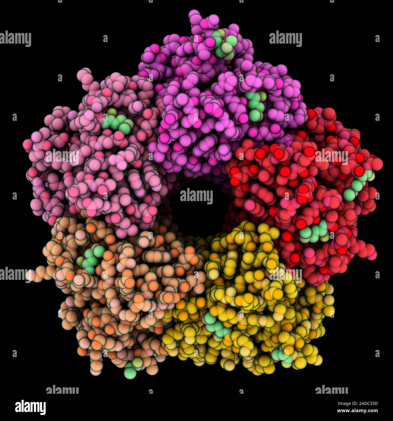 Putative chlorite dismutase TA0507. Computer model showing the ...
