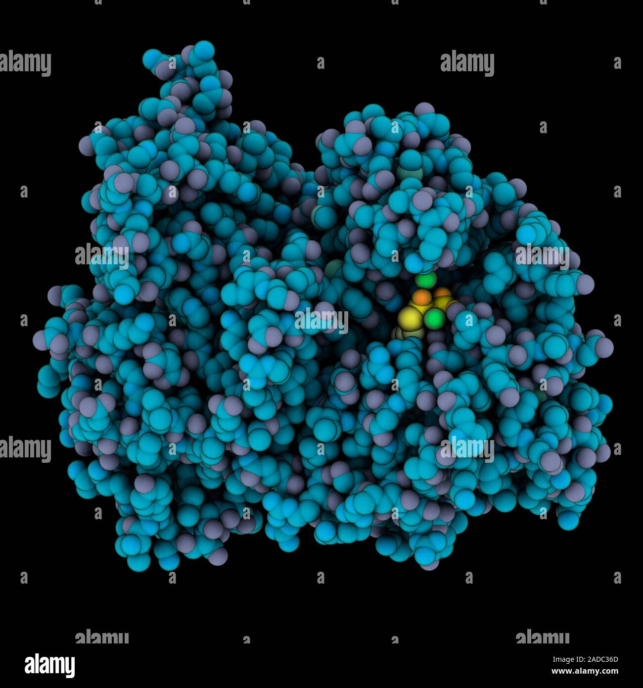 Isoprene synthase molecule complexed with Mg2+ ions and dimethylallyl-S ...