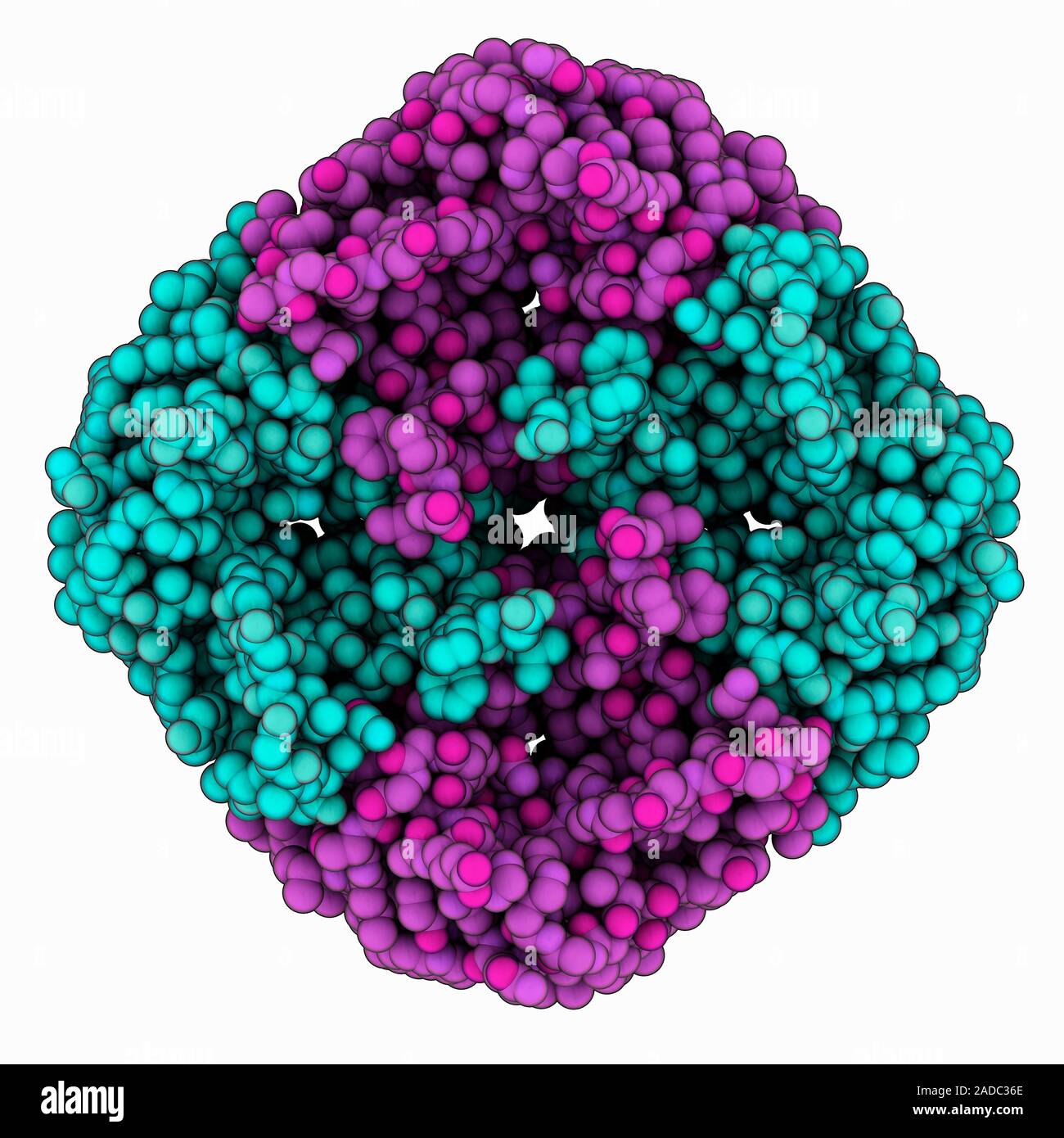 Plant pathogen aquaporin molecule. Computer model showing the structure ...