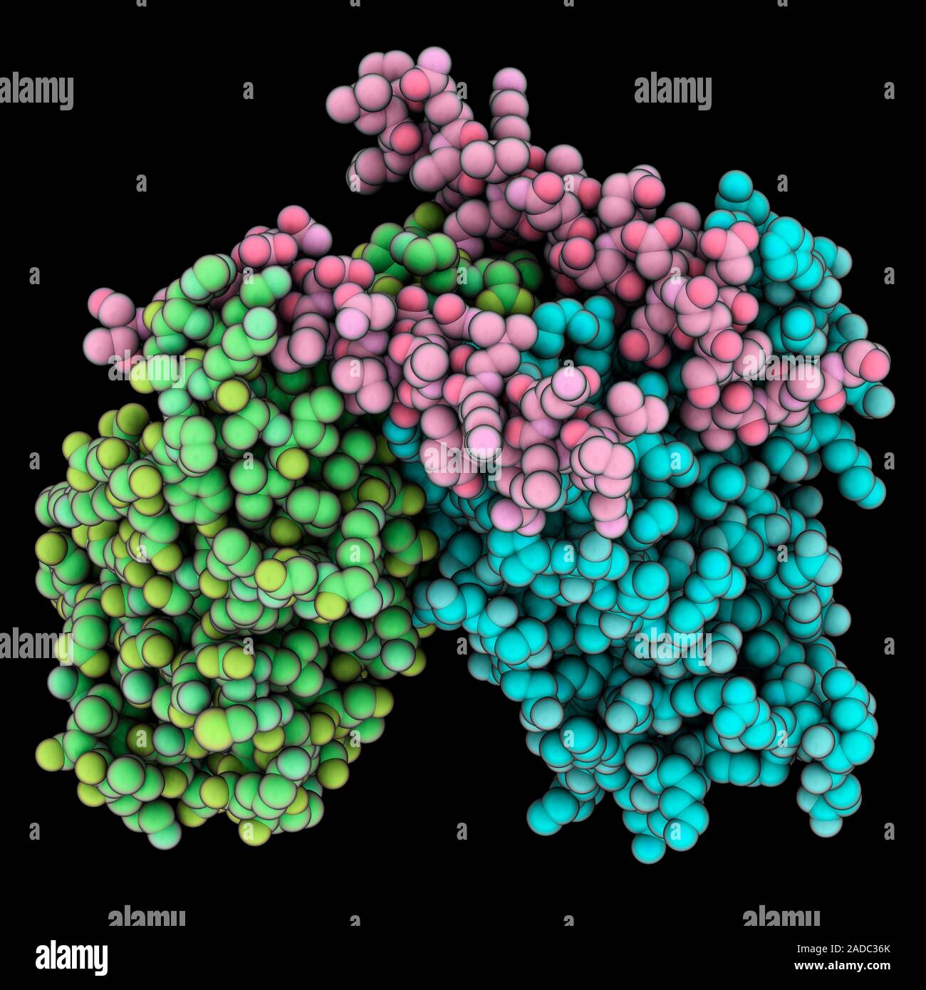 Yeast cell division control protein complexed with DNA ...