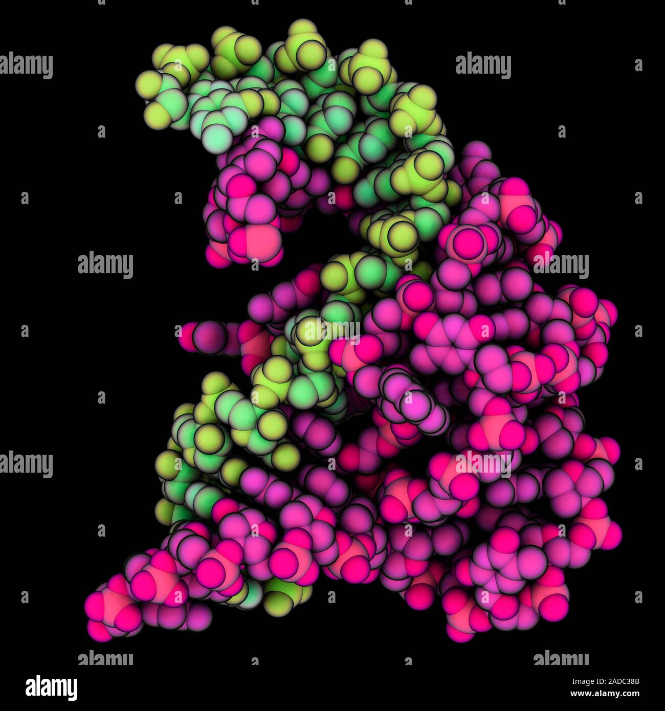 Synthetic DNA (deoxyribonucleic acid) catalyst complex. Computer model ...