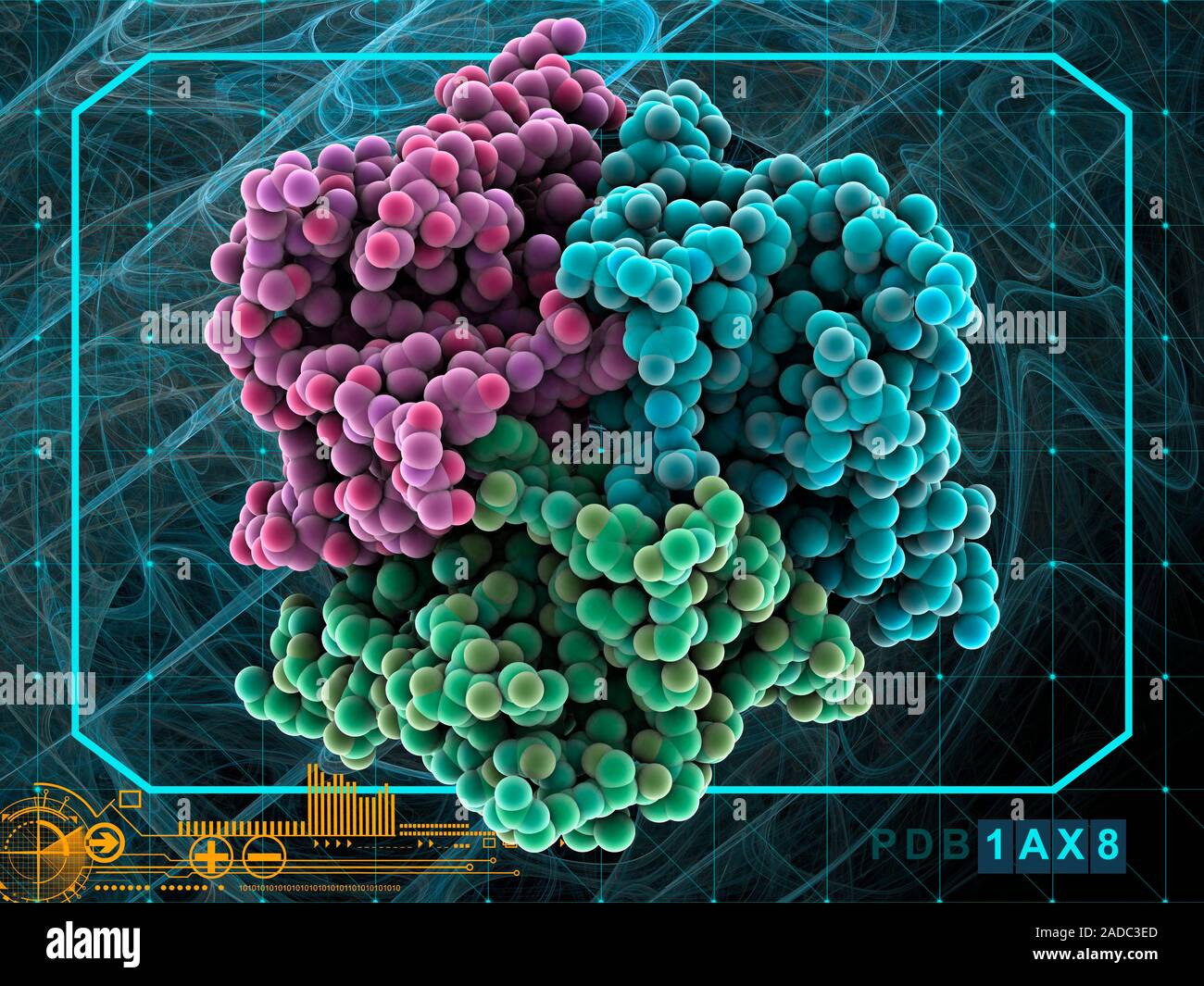 Leptin, molecular model. This hormone is produced by adipose (fat ...