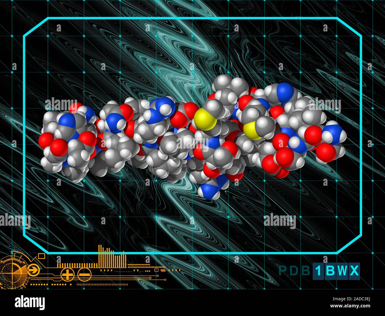 Parathyroid hormone molecule. Computer model showing the structure of ...