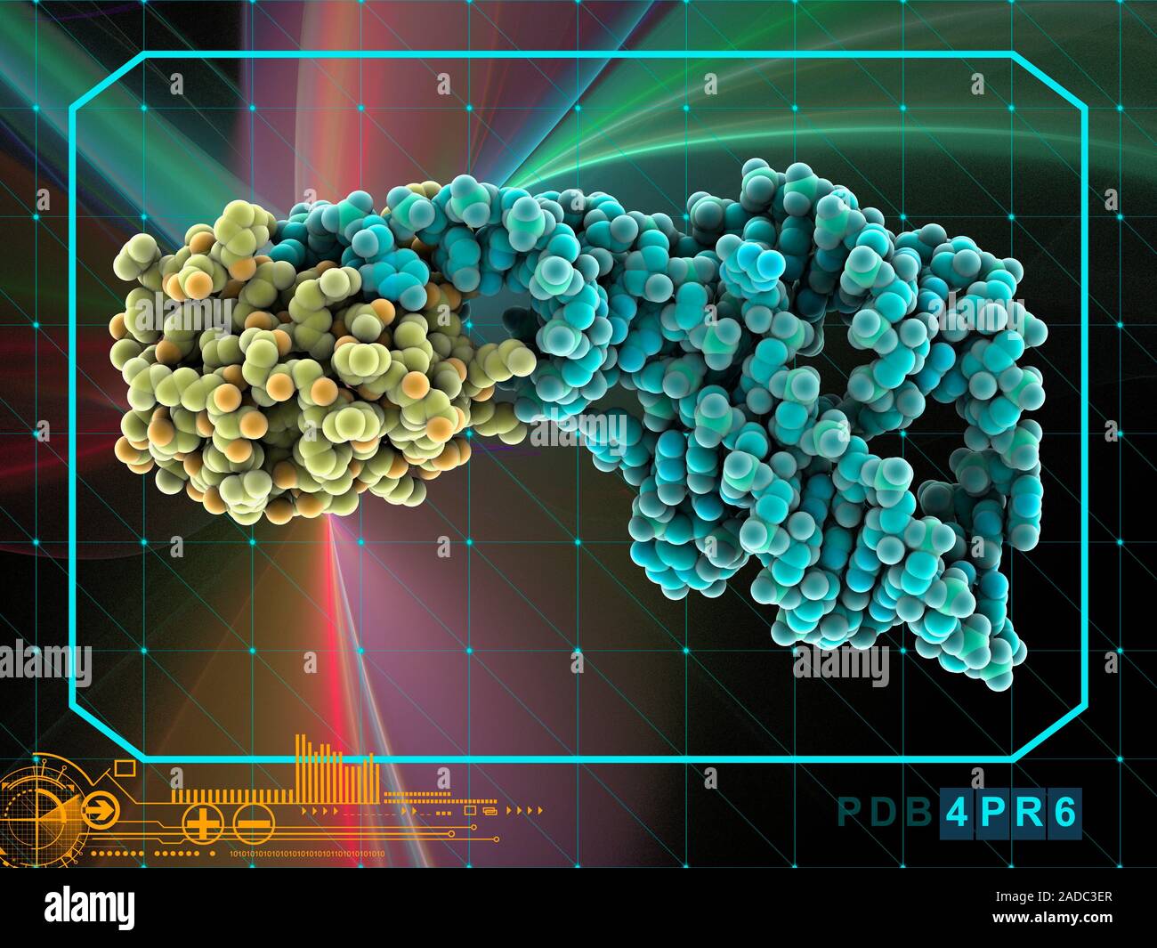 Hepatitis delta virus (HDV) ribozyme complex. Computer model showing ...