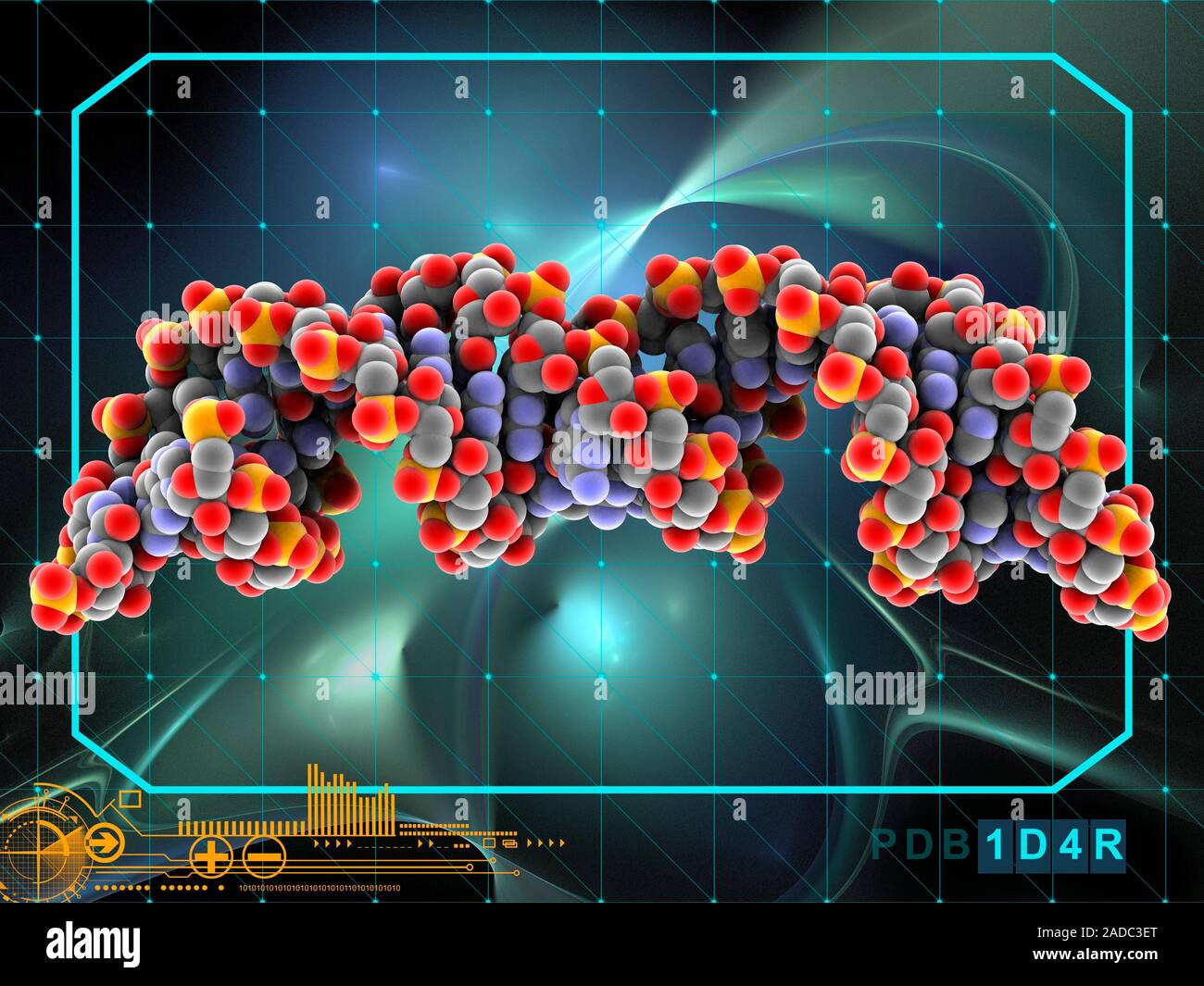Signal Recognition Particle Rna Molecule Computer Model Showing The