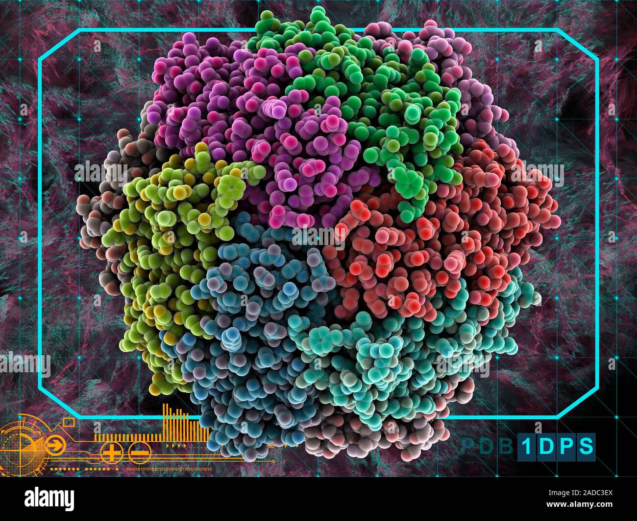 Iron containing protein. Molecular model showing the secondary ...