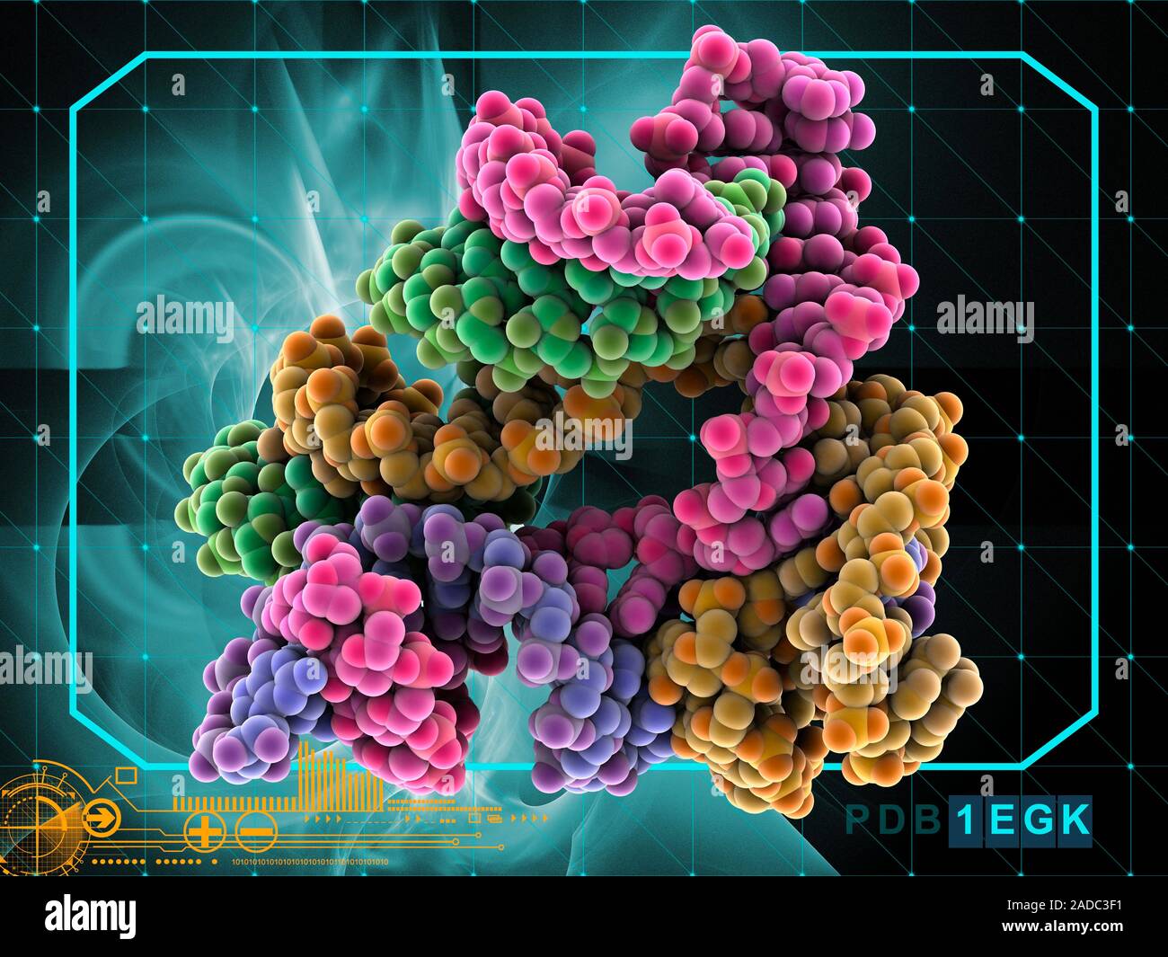 RNA-DNA four-way junction. Molecular model showing a RNA-DNA-complex ...