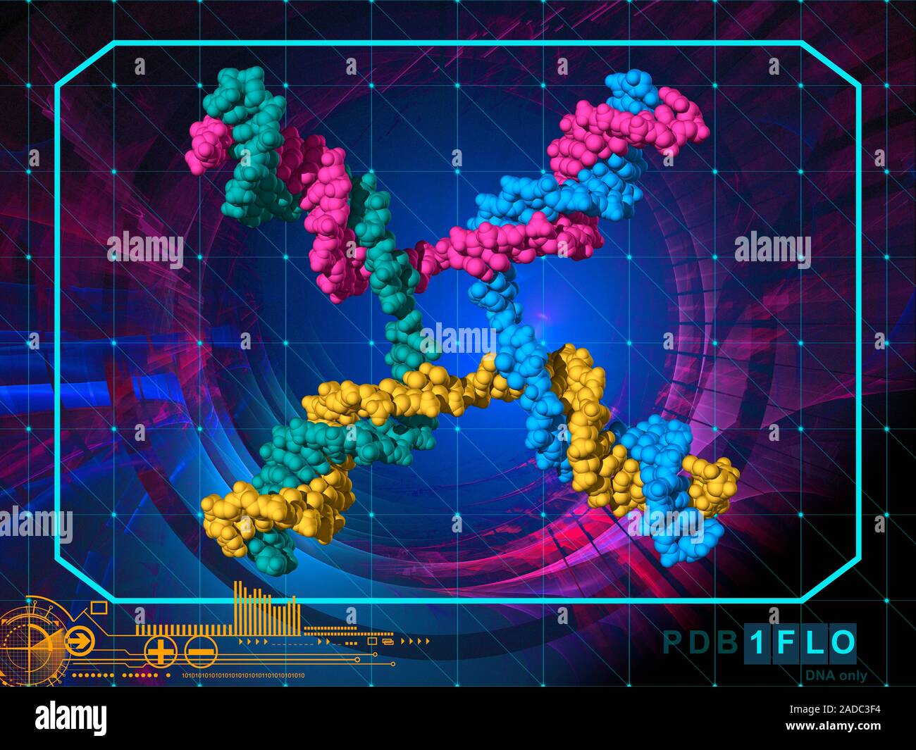 DNA Holliday junction. Molecular model of a Holliday junction (centre ...