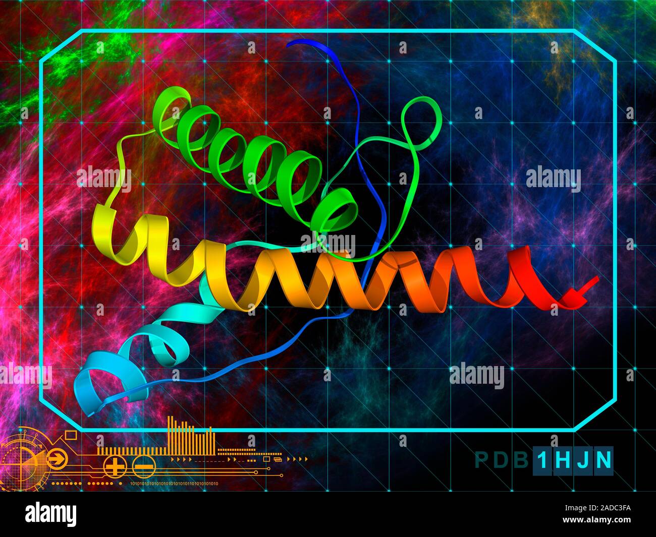 Human prion precursor protein, molecular model showing secondary ...