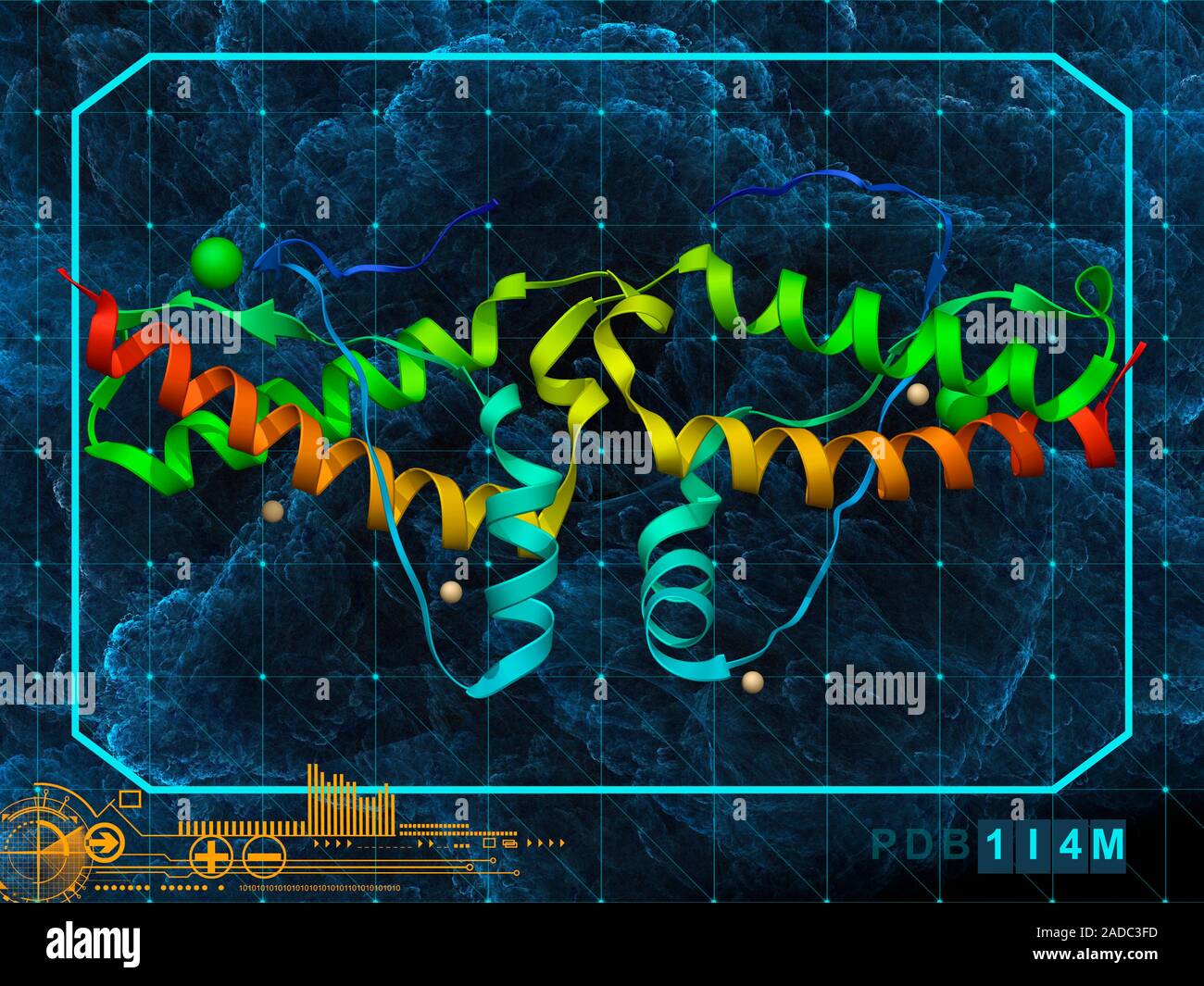 Human prion protein, molecular model. Prions are abnormal proteins that ...