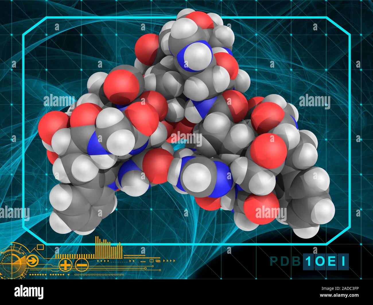 Human major prion protein molecule. Computer model showing the ...